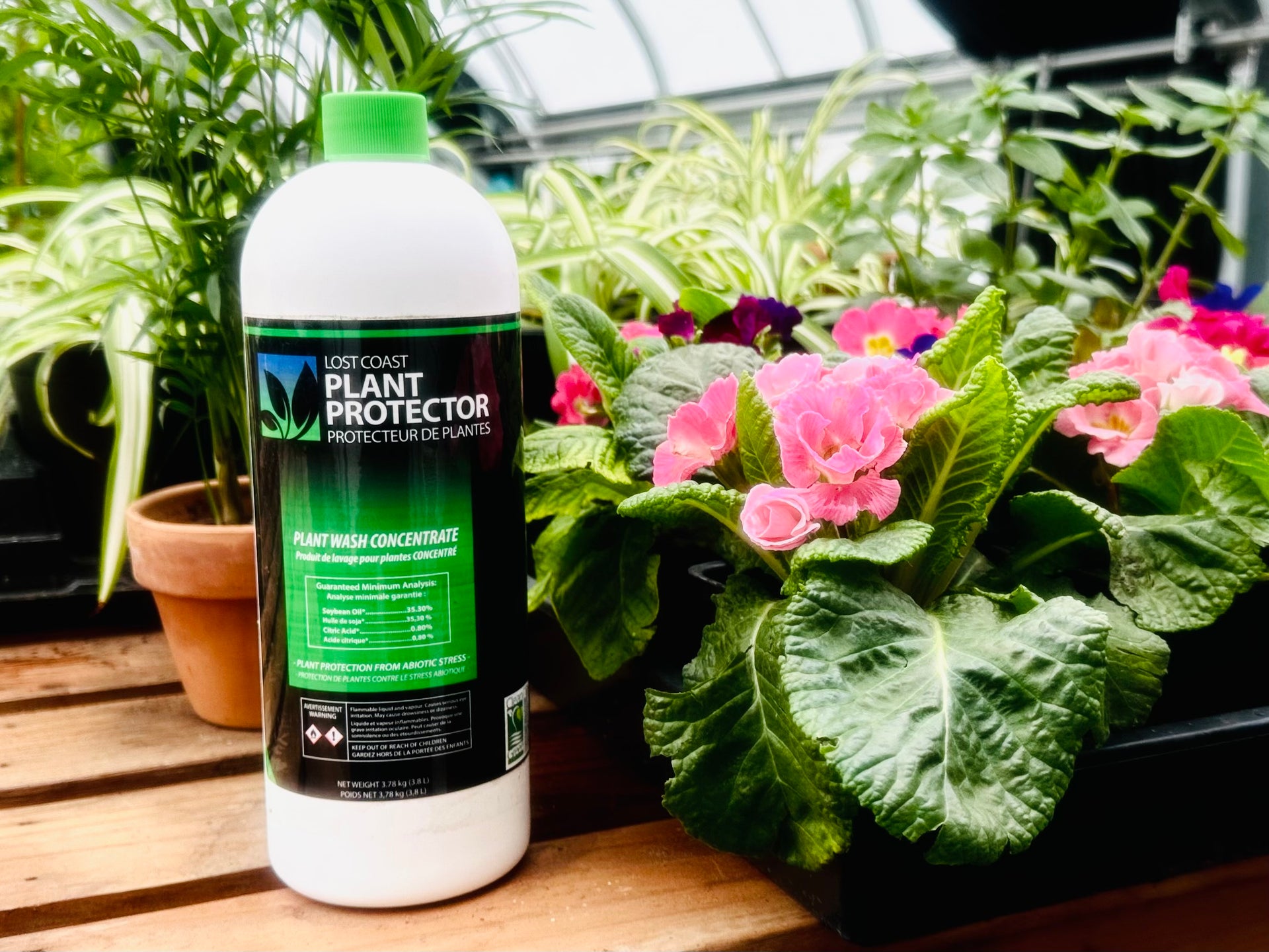 Lost Coast Plant Protector